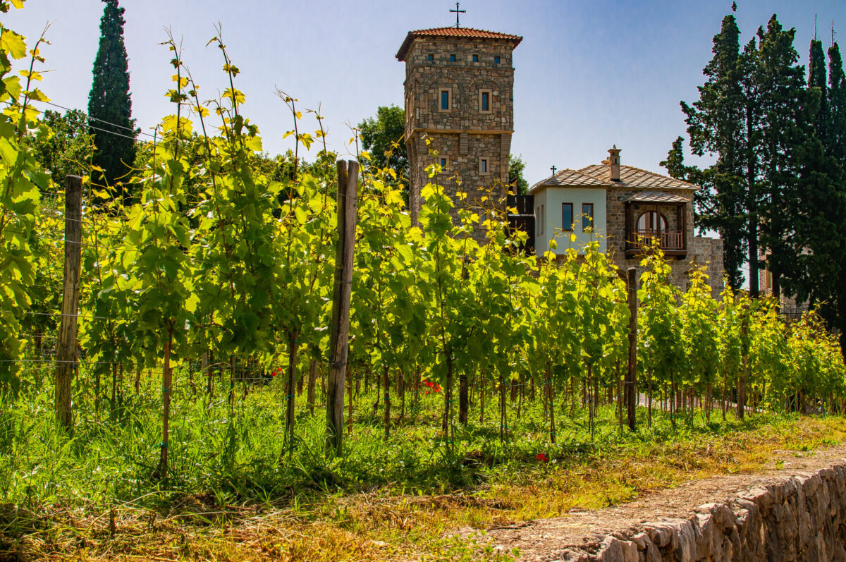 Trebinje | SIP Travel